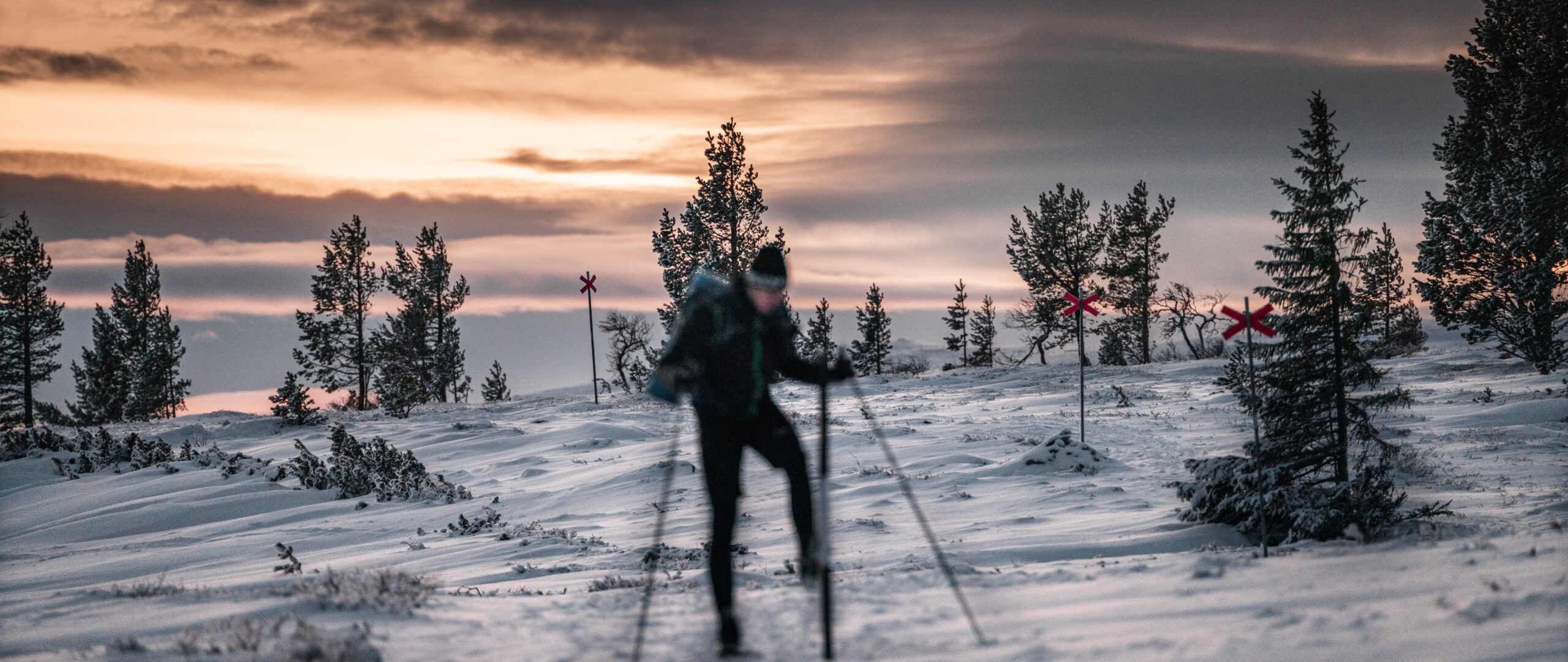 Mastering the Power of Natural Light in Photography: Tips and ...